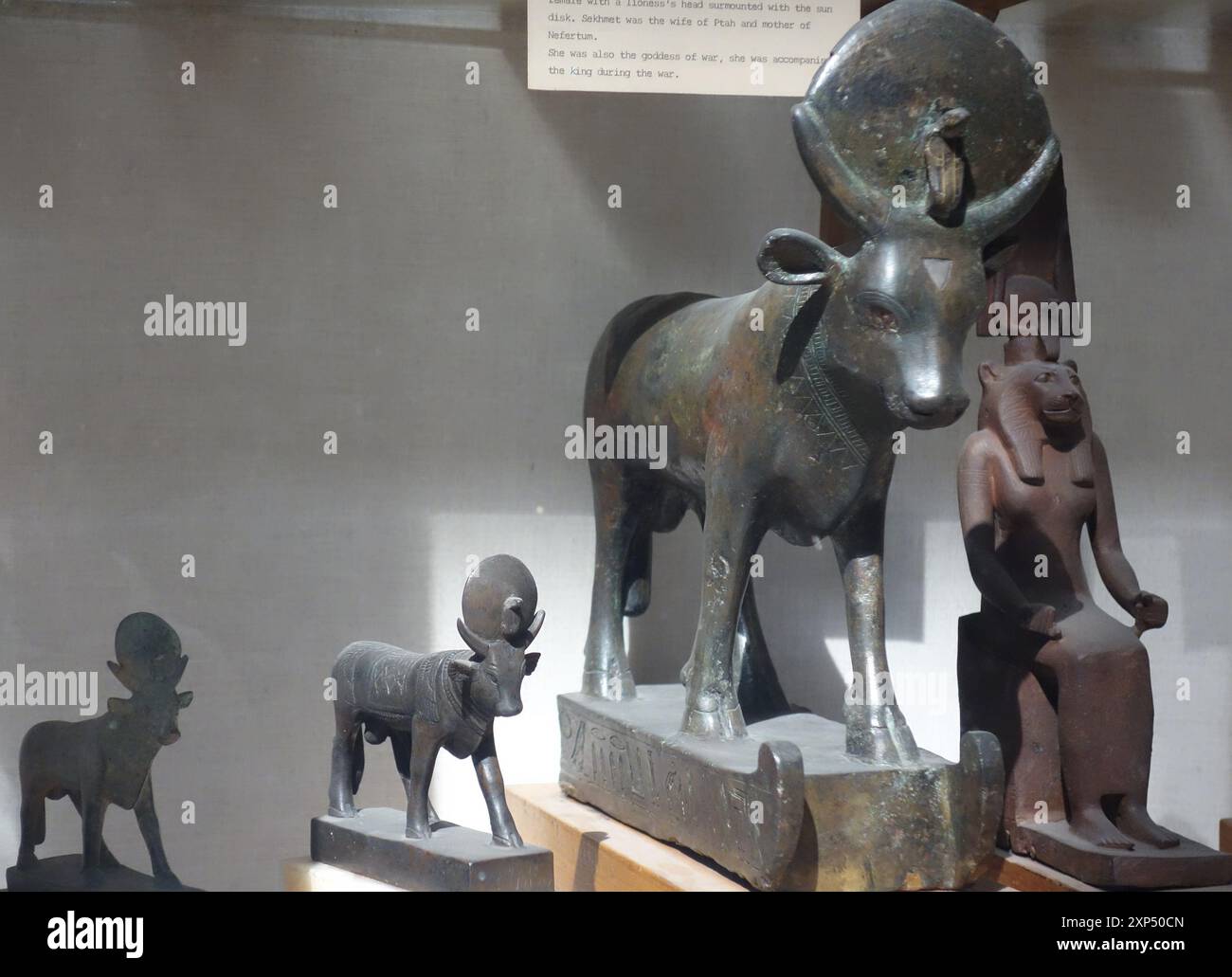 Two statues of the God Ptah, Statue of Apis and the woman with the ...