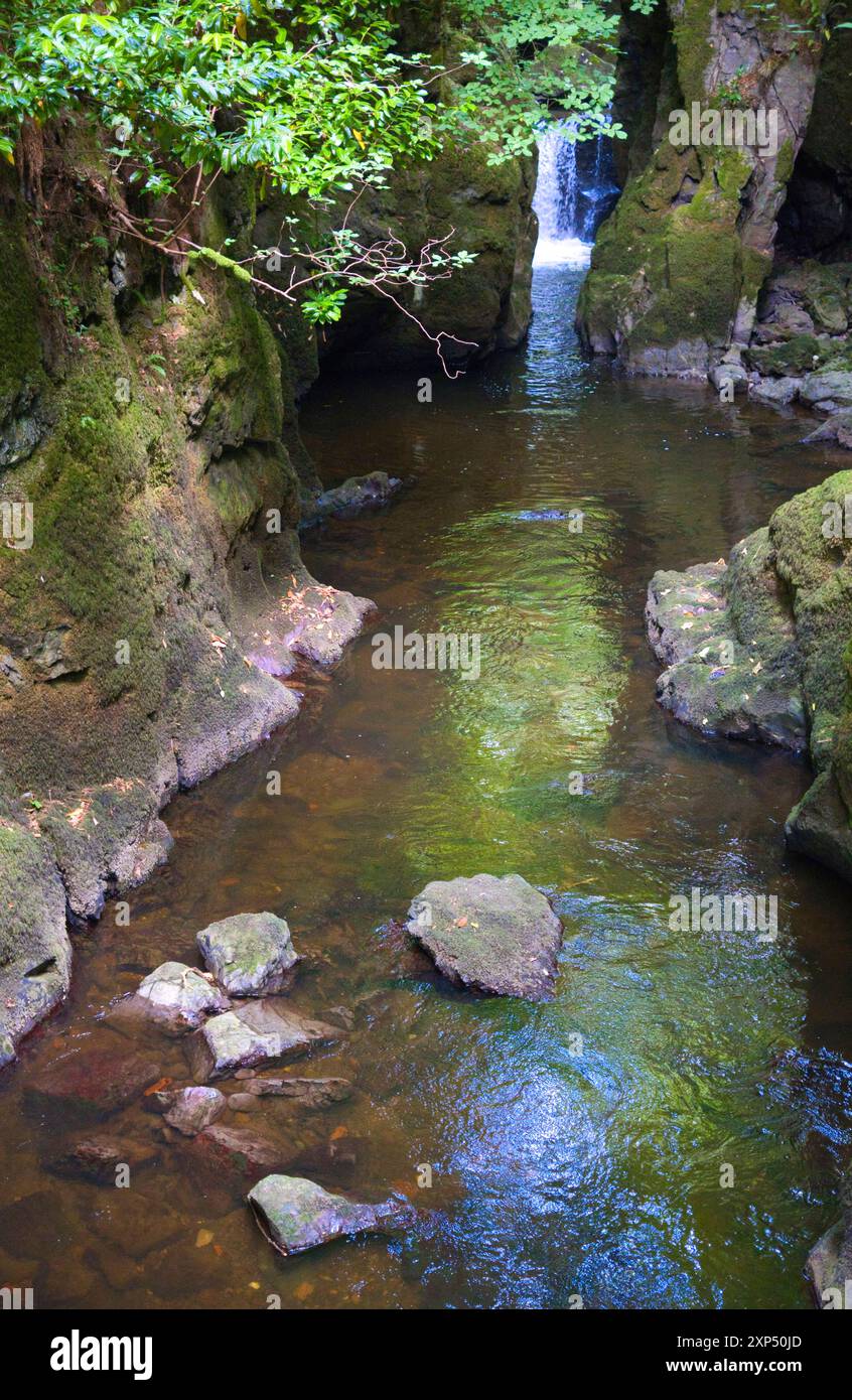 A walk along the River Devon at Rumbling Bridge in Perth & Kinross ...