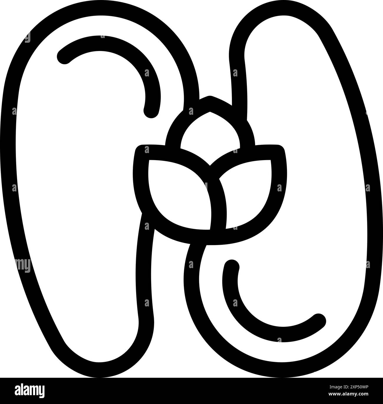Line art illustration of hop flower and kidneys representing beer ...