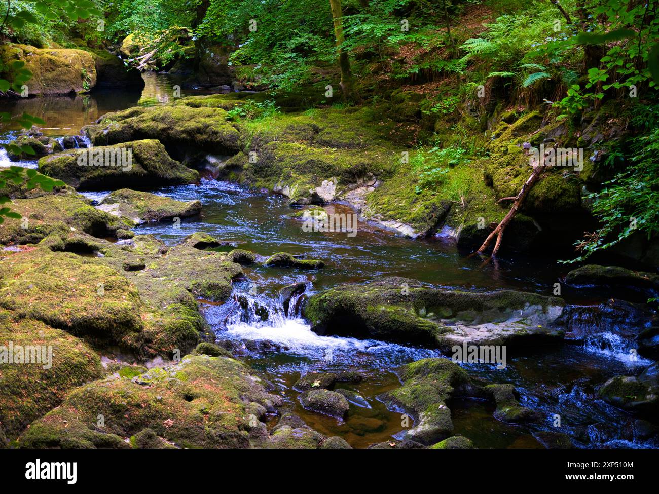 A walk along the River Devon at Rumbling Bridge in Perth & Kinross ...