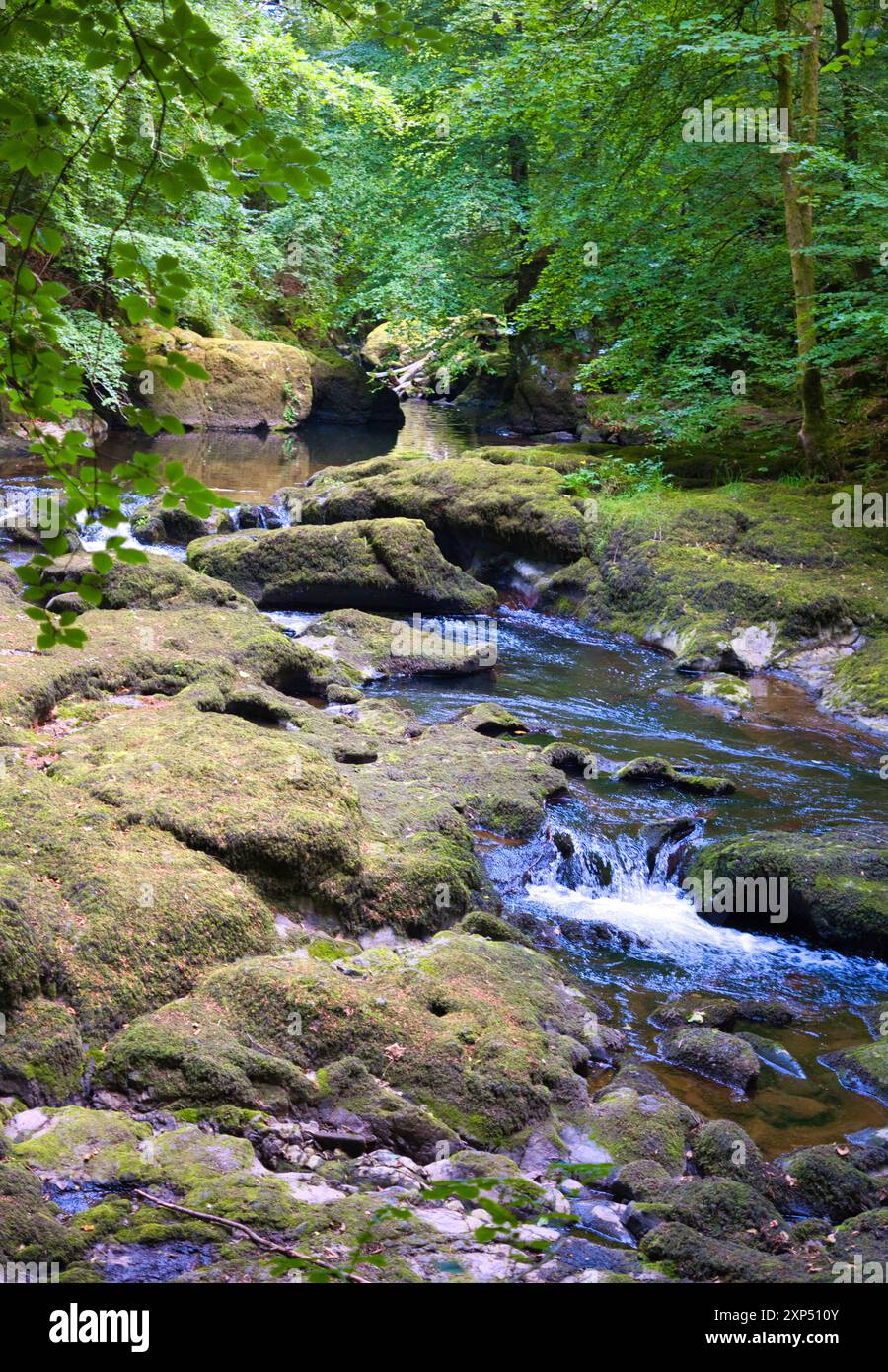 A walk along the River Devon at Rumbling Bridge in Perth & Kinross ...