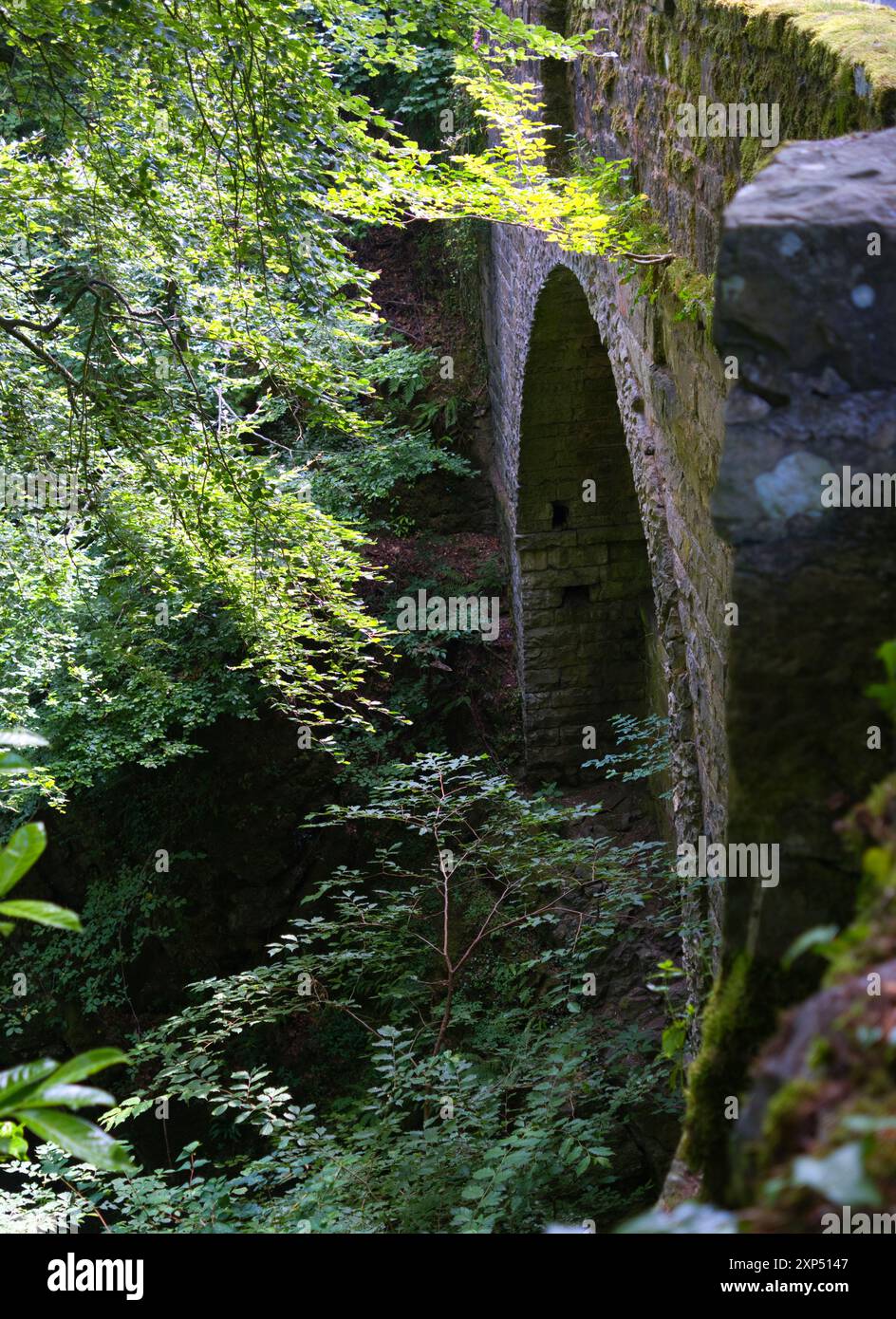 Rumbling bridge devon hi-res stock photography and images - Alamy