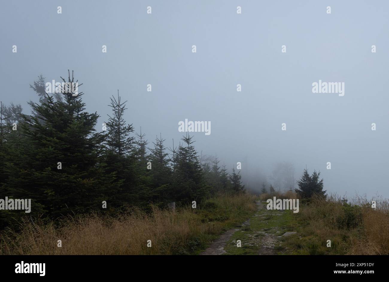 Dense fog envelops rural landscape hi-res stock photography and images ...