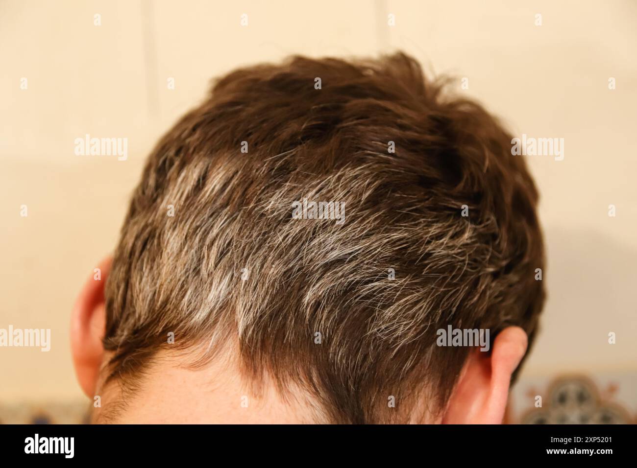 Dyeing roots hi-res stock photography and images - Alamy