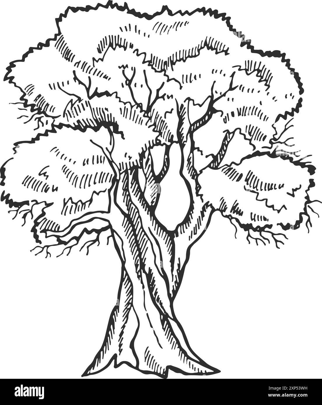 Tree engraving. Hand drawn forest nature plant Stock Vector Image & Art ...