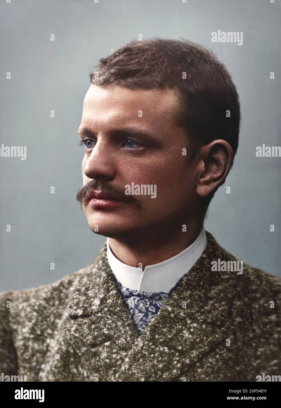 Jean Sibelius. Circa 1891. By Daniel Nyblin Stock Photo - Alamy