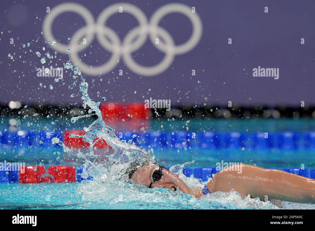 03 August 2024, Olympia, Paris 2024, Swimming, Women, 800m freestyle ...