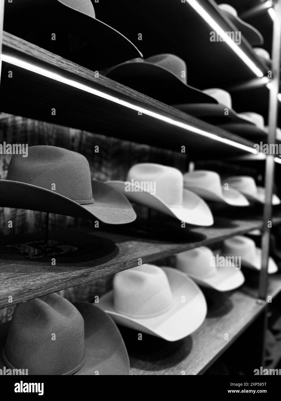 American cowboy united states america Black and White Stock Photos ...