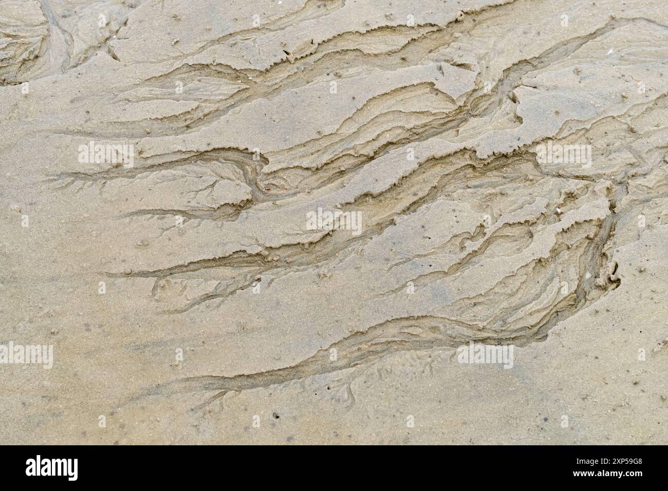 Natural patterns in the wet sand created by retreating waves on a beach ...