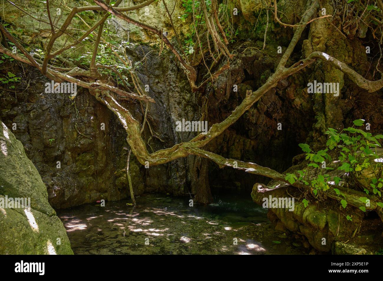 baths of aphrodite in cyprus Stock Photo - Alamy