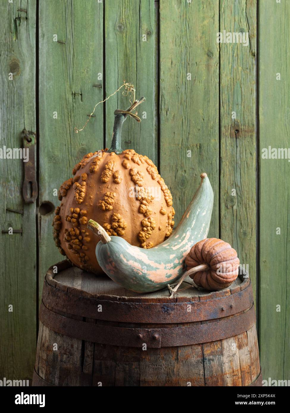 Still Life with Musquee de Maroc, Black Futsu, and Candy Roaster ...