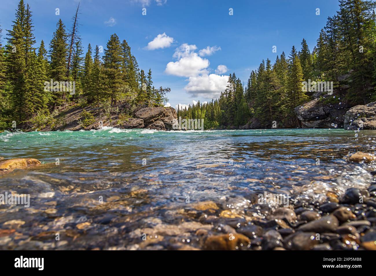 River Flowing Through A Forest In The Summertime Stock Photo - Alamy