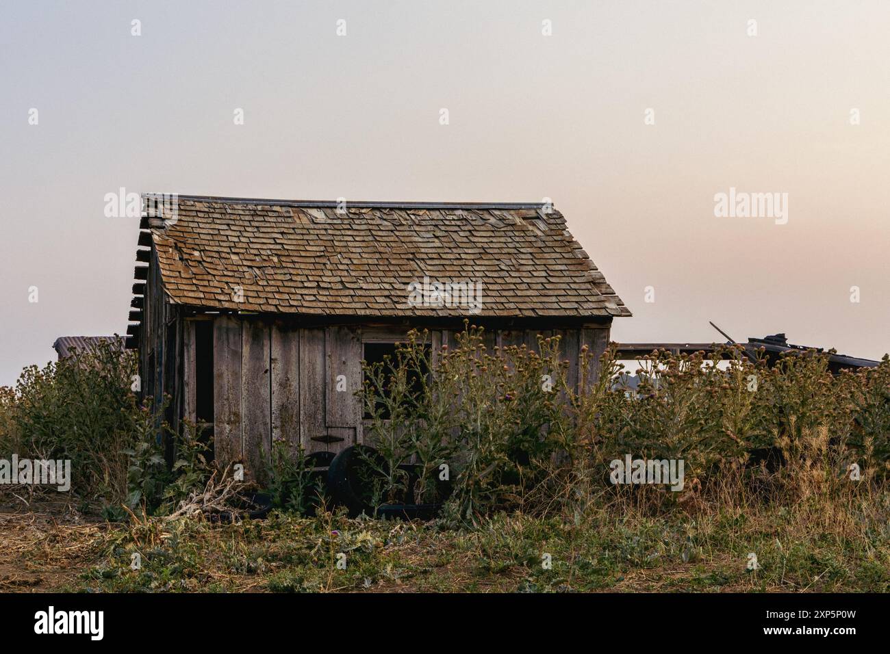 Abandoned farm ruins with barns and agriculture equipment in the ...