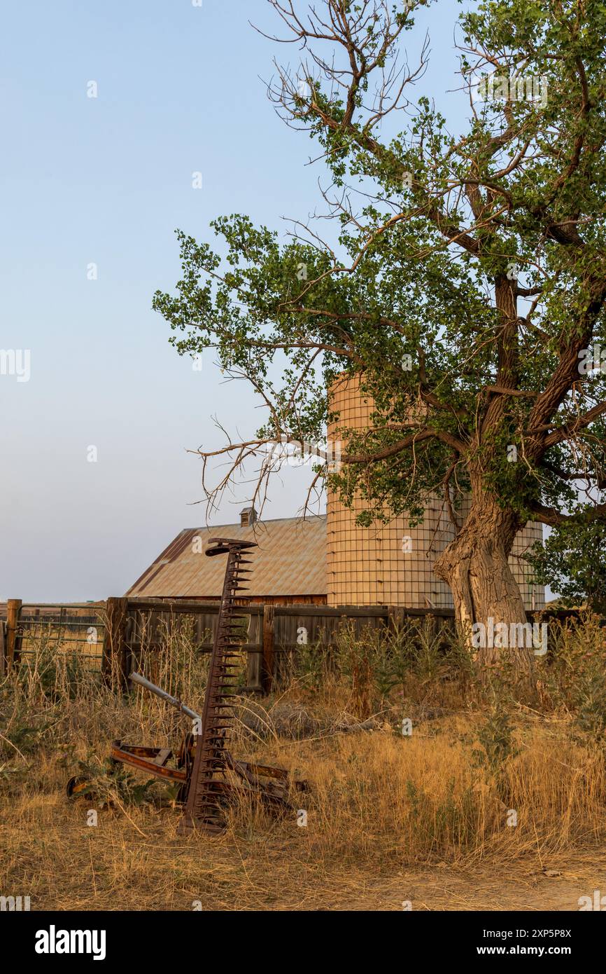 Abandoned farm ruins with barns and agriculture equipment in the ...