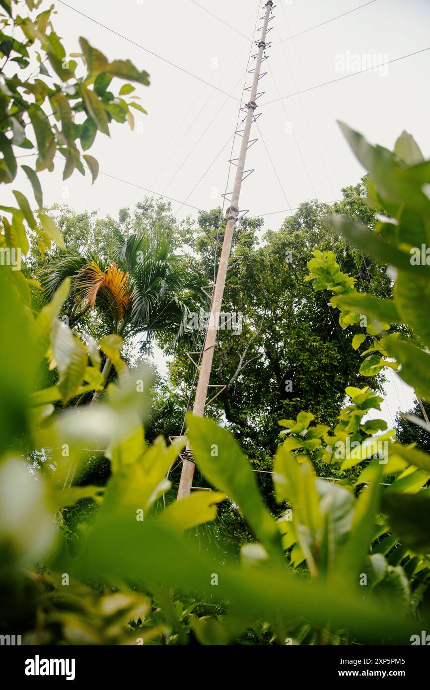 U.S. Marines with Combat Logistics Battalion 13, Combat Logistics ...