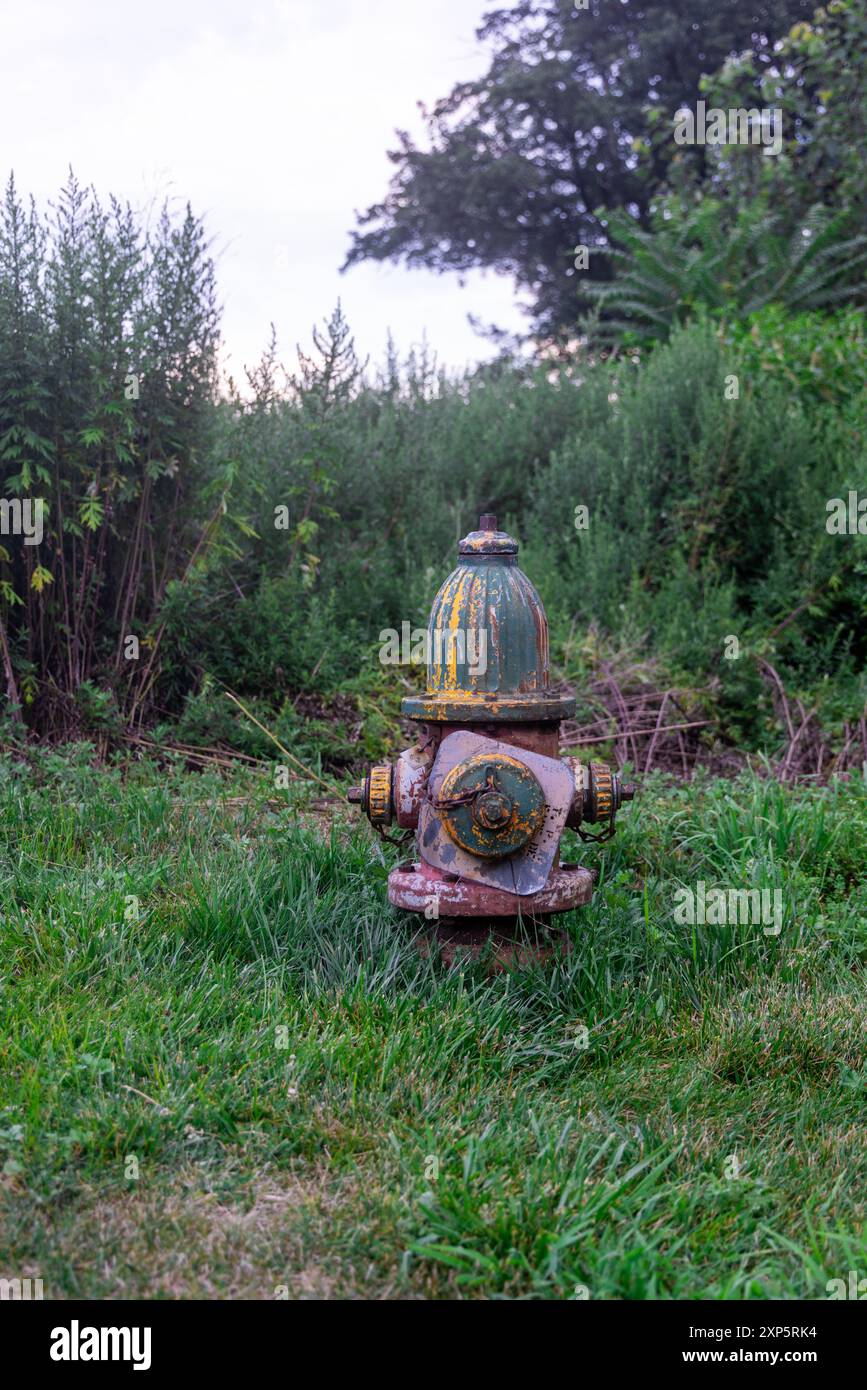 Aesthetic Fire Hydrant in the Woods Stock Photo - Alamy