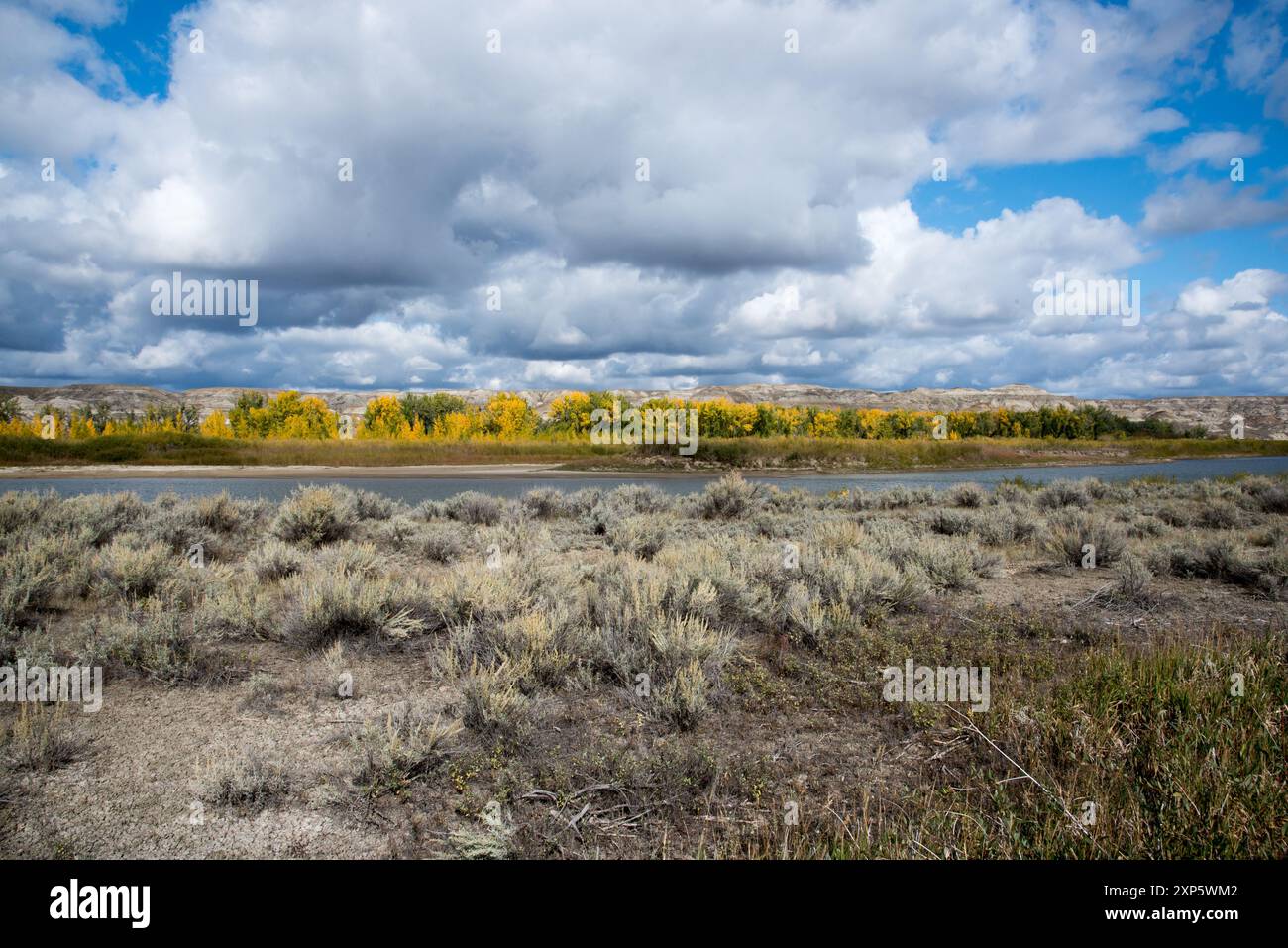 Dinosaur Provincial Park in Alberta in Canada protects lots of Dinosaur ...
