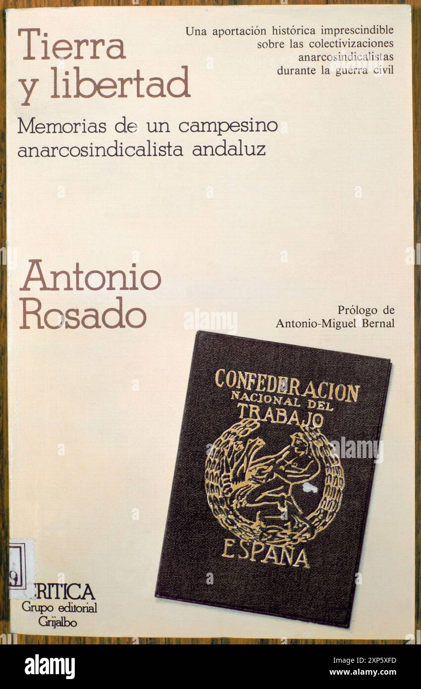 Diego Rivera Tierra Agus Libertad EL PRIMER MURAL DE DAVID ALFARO