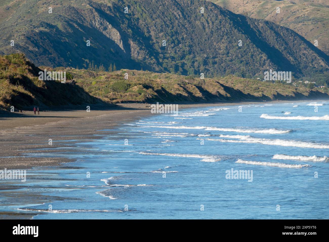 Whareroa beach and Queen Elizabeth Park in Kapiti, New Zealand Stock ...