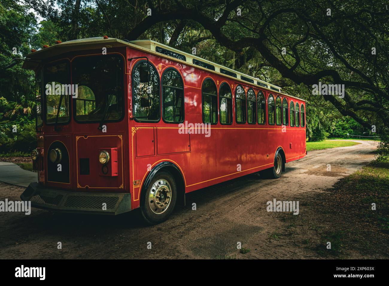 retro red tour bus or trolley parked under beautiful live oaks in ...