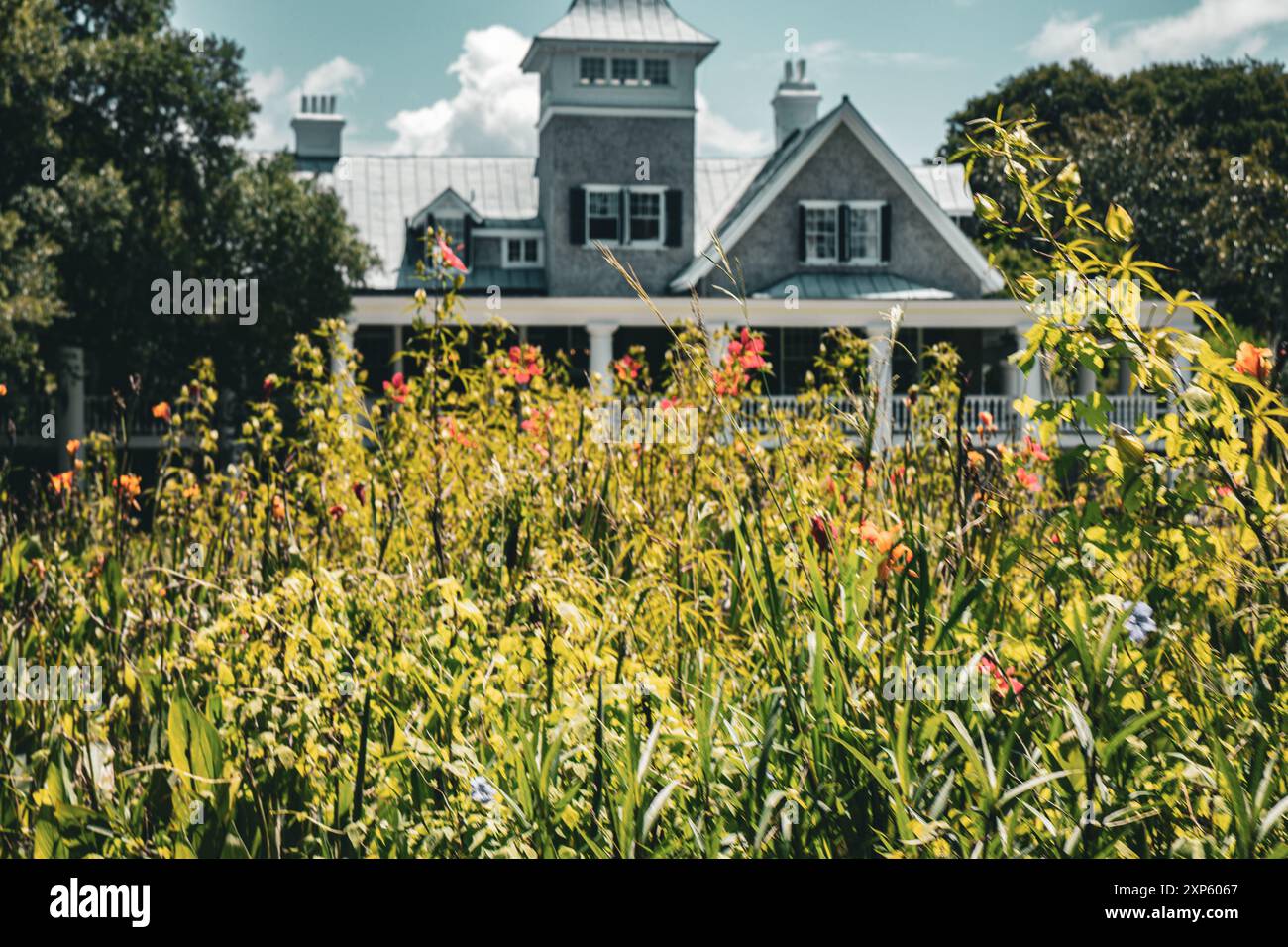 Magnolia Plantation in Charleston, South Carolina Stock Photo - Alamy