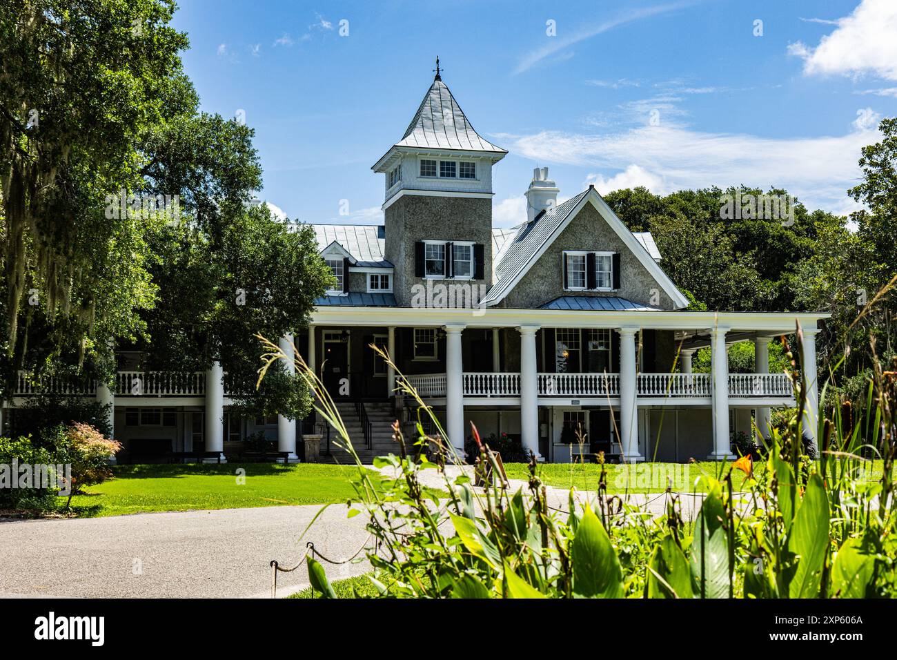 Magnolia Plantation in Charleston, South Carolina Stock Photo - Alamy