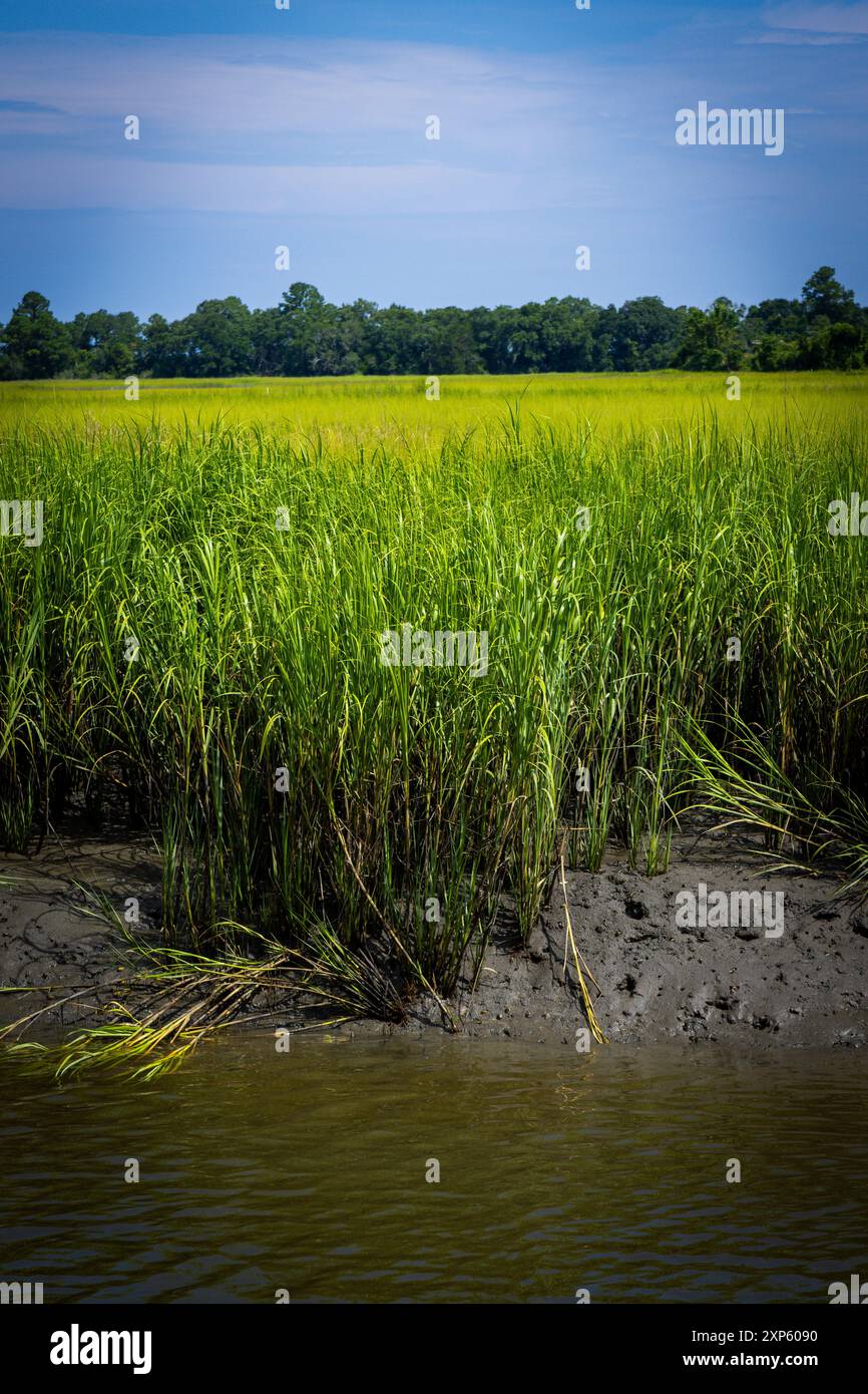 Serene coastal scene tall hi-res stock photography and images - Alamy
