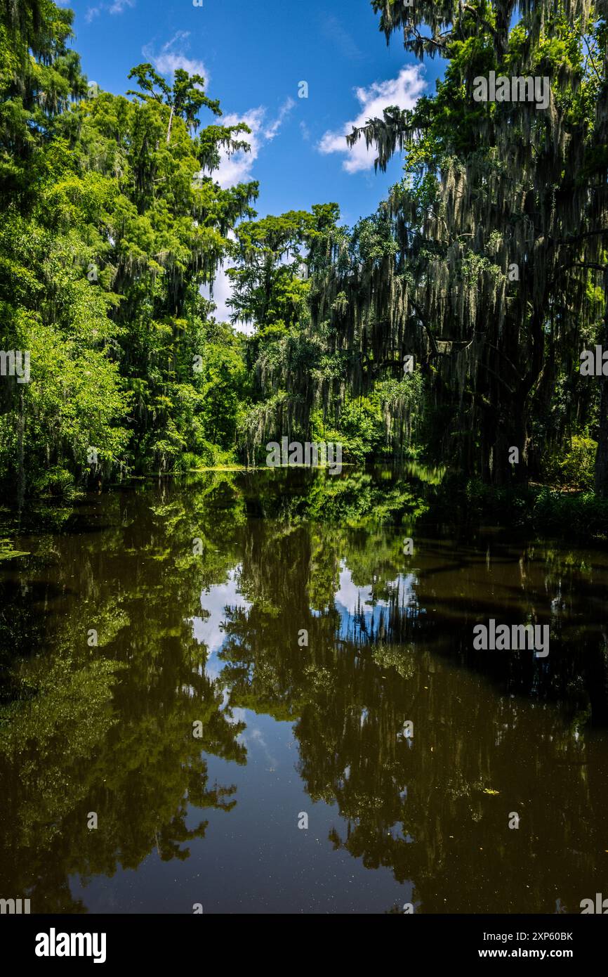 Scenic South Carolina Landscape with Tree Reflections on Calm Lake ...