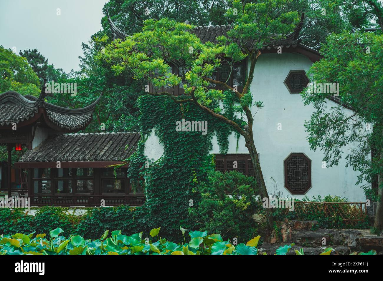 A traditional Chinese garden with a white-walled building covered in ...