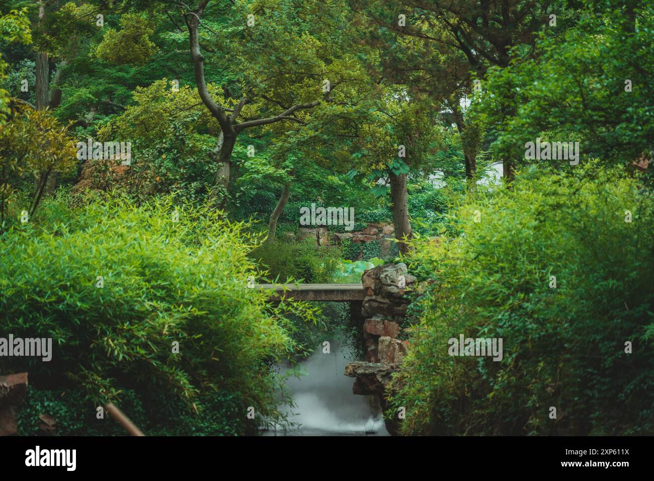 A stone bridge in a lush Chinese garden with foliage and a small stream ...