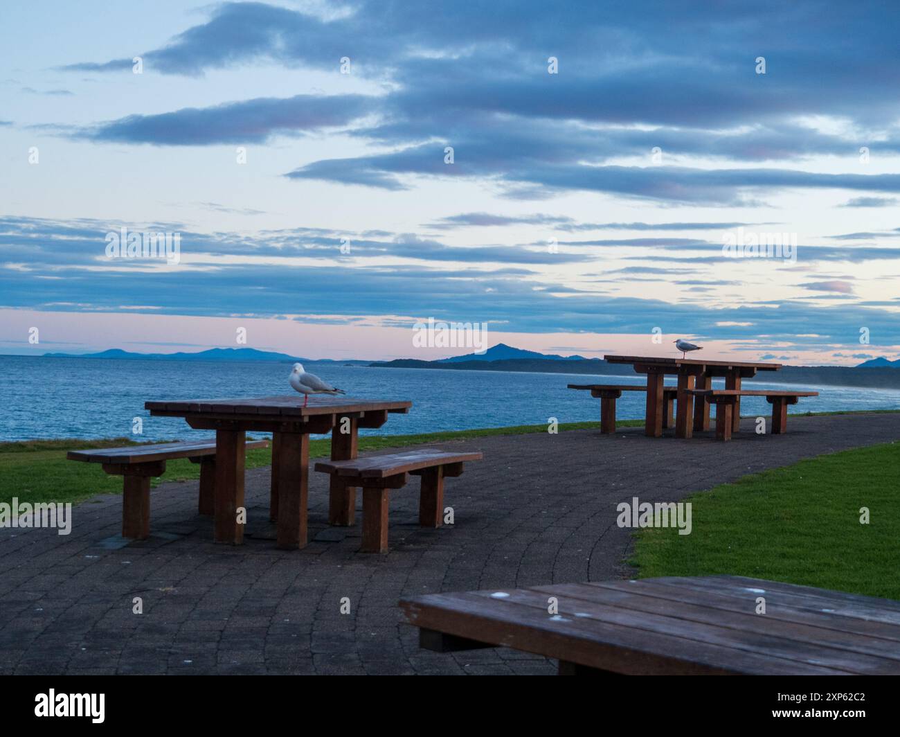 Two Seagulls on 2 Picnic Tables overlooking the blue Pacific Ocean ...
