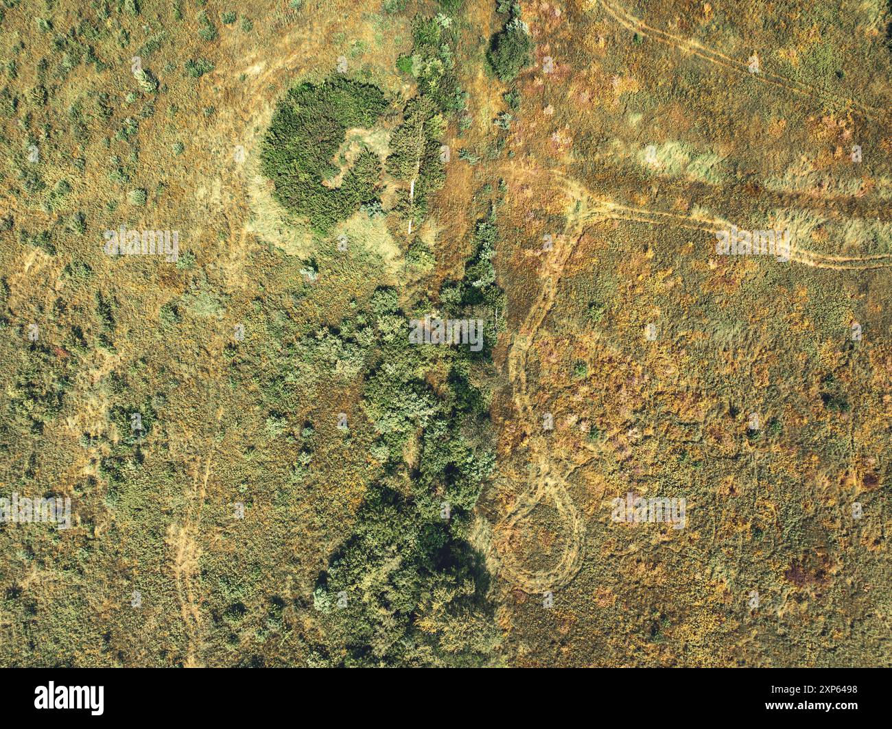 Arsenal plant hi-res stock photography and images - Alamy