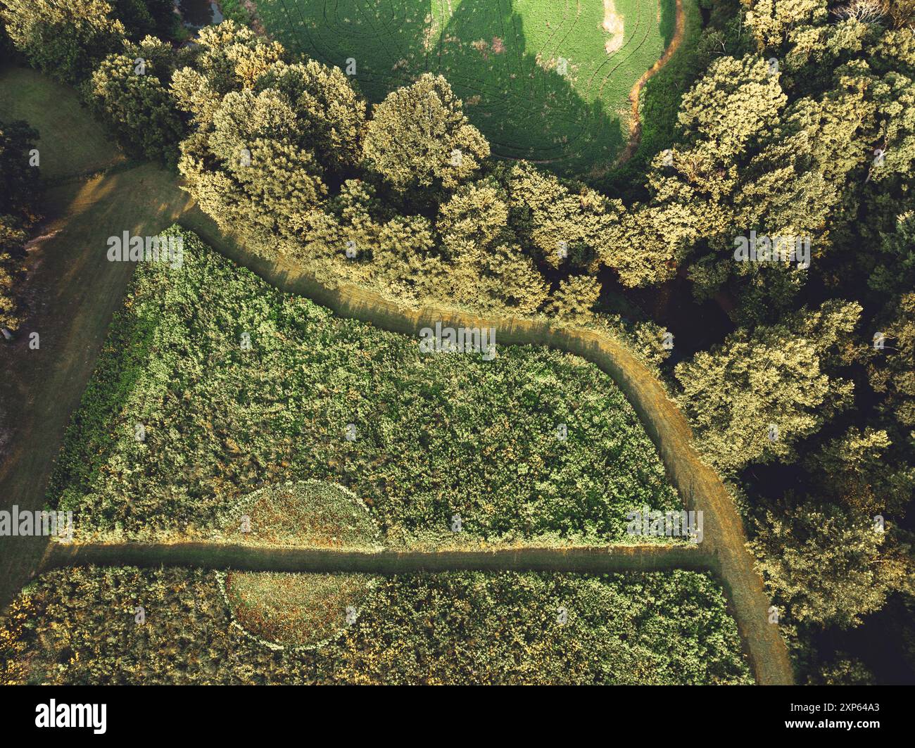 Aerial view over trails at the Tulip Trestle, Indiana, USA Stock Photo ...