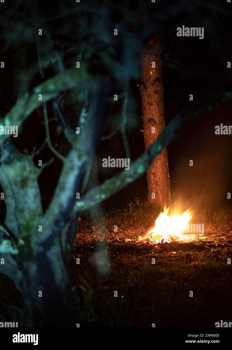 Fire burning next to a crabbapple tree at night Stock Photo - Alamy