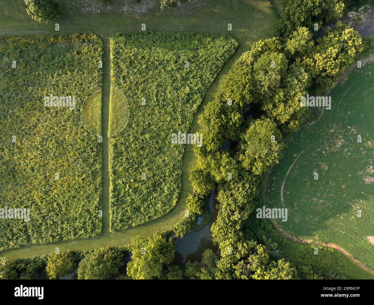 Aerial view over trails at the Tulip Trestle, Indiana, USA Stock Photo ...