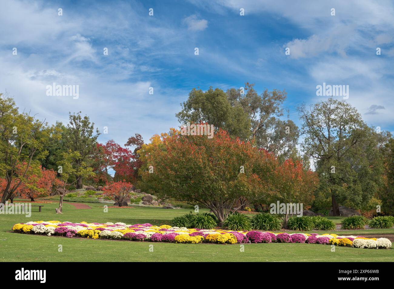 Spectacular and colourful arrangement of the flowers and autumnal ...