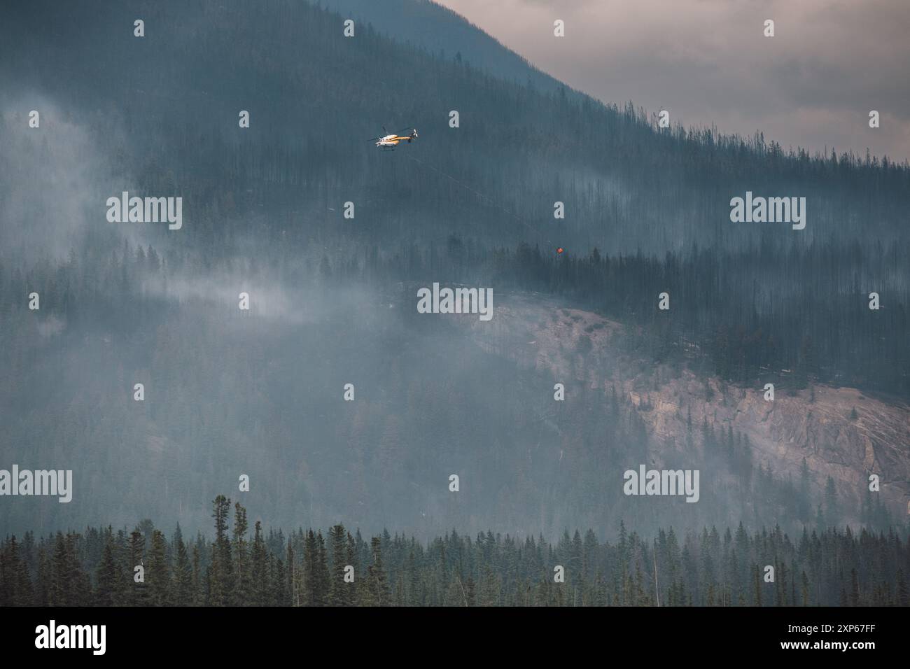 Jasper, Canada. 26th July, 2024. A helicopter works a forest fire ...