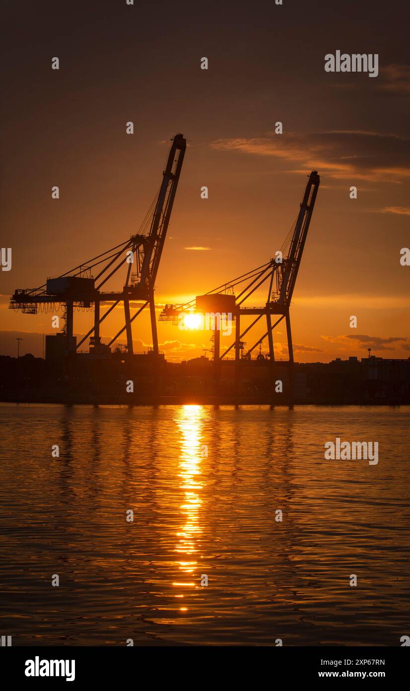Idle container handling Gantry Cranes silhouetted by the setting sun at ...