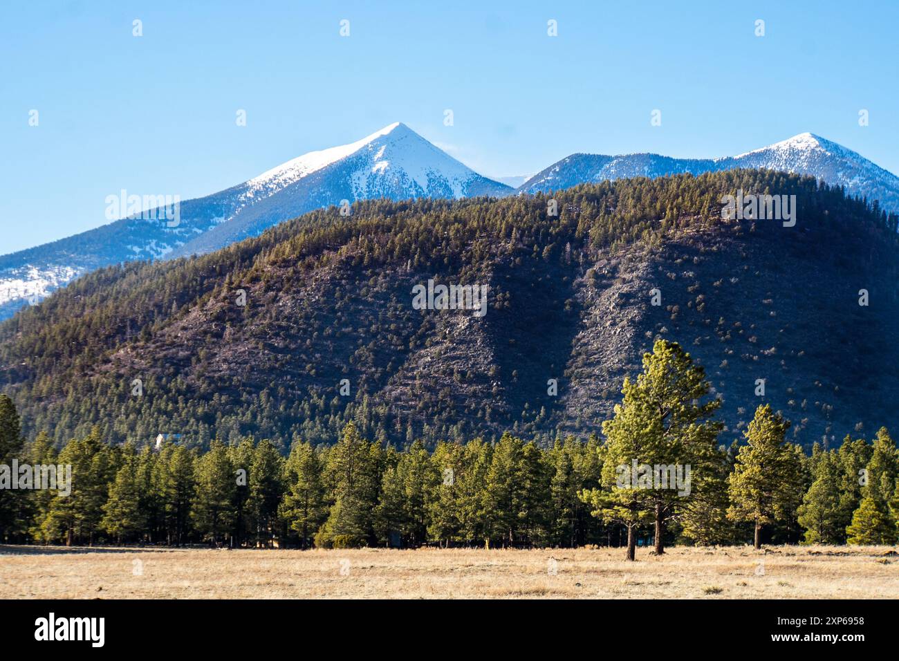 Flagstaff region hi-res stock photography and images - Alamy
