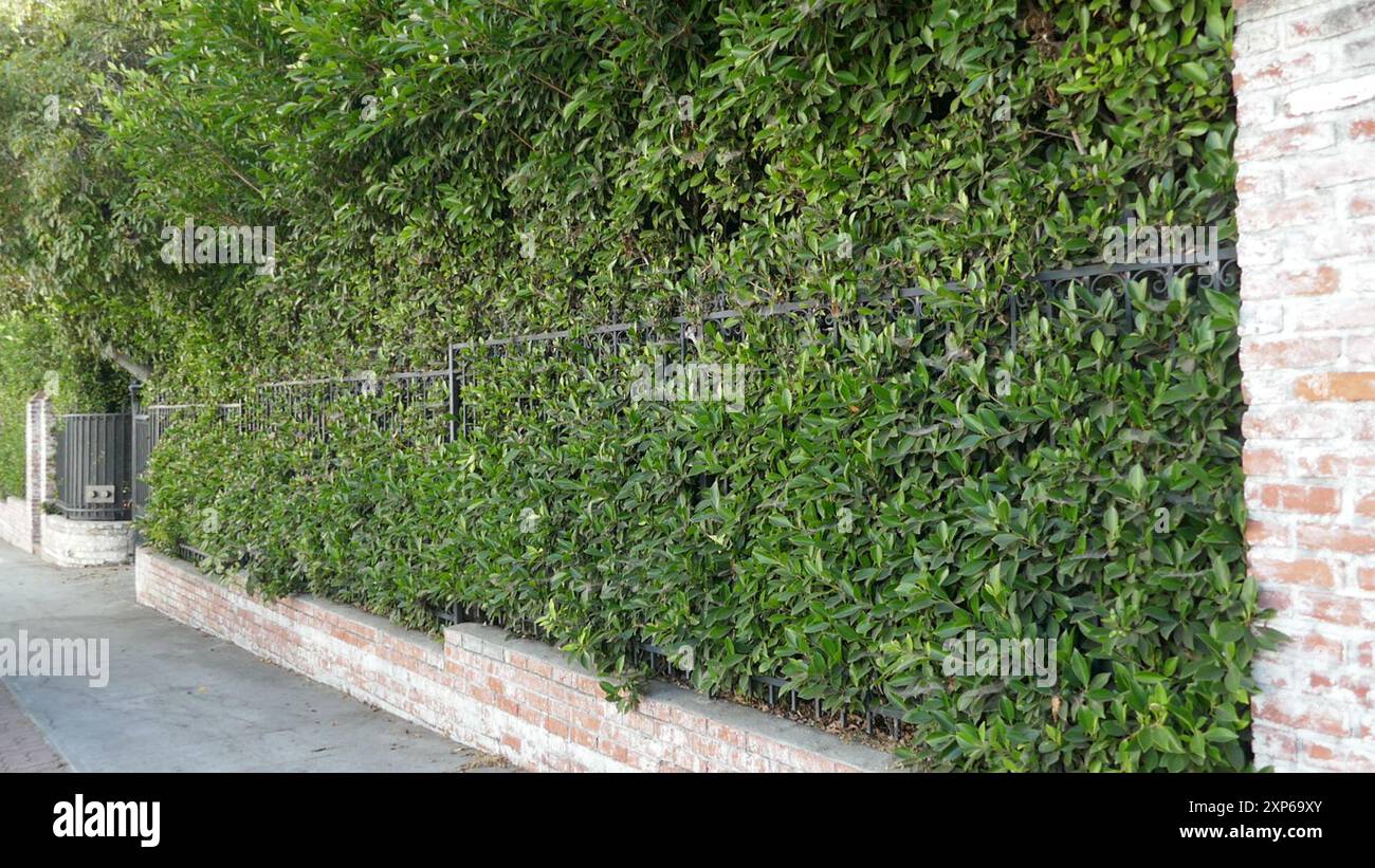 Los Angeles, California, USA 2nd August 2024 Actor Ned Sparks and Actor ...