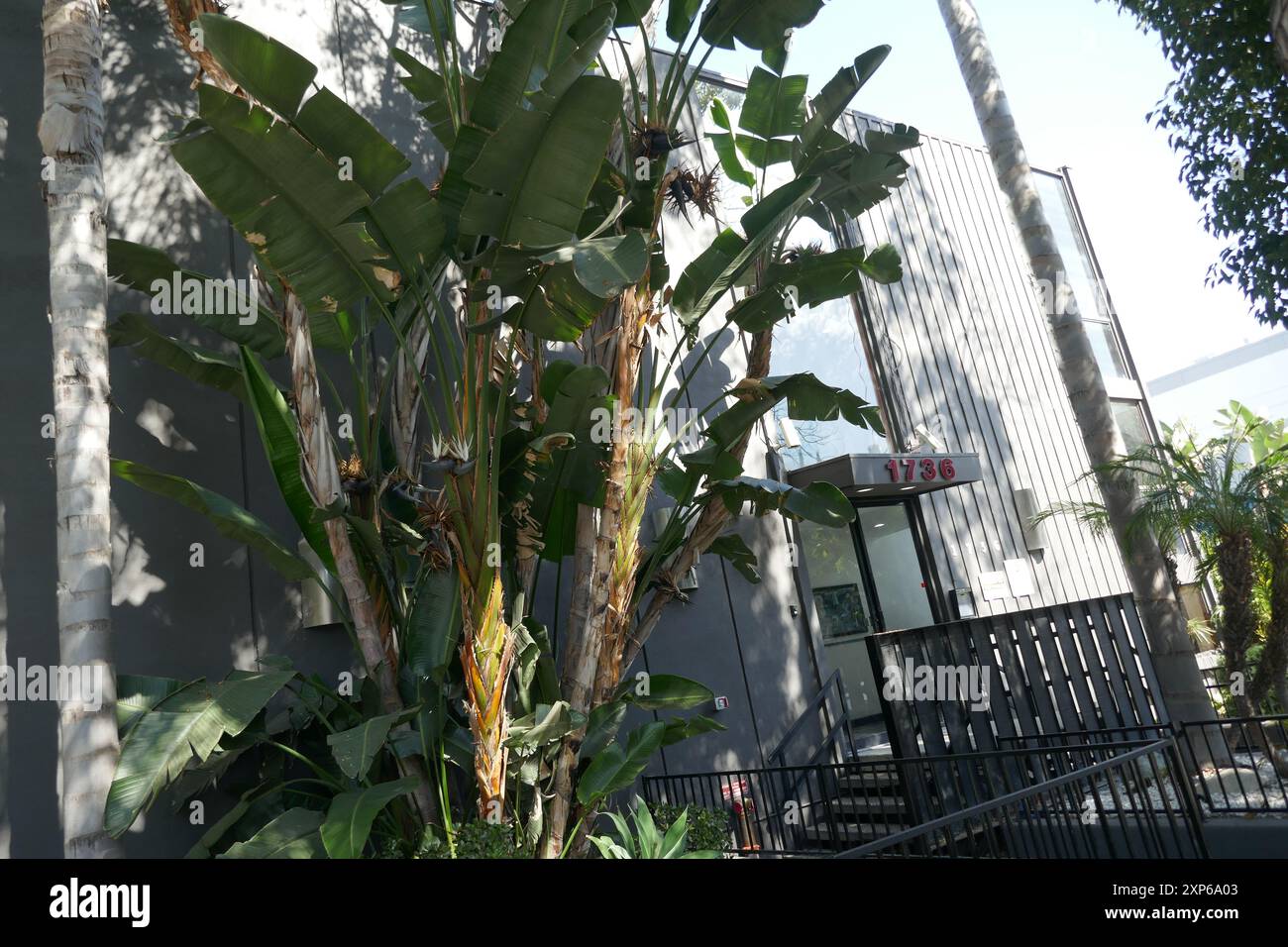 Los Angeles, California, USA 2nd August 2024 Actress Edna Arden ...