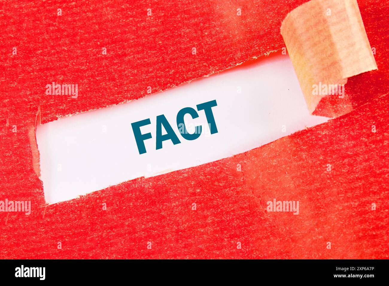 FACT CONCEPT. FACT on a white background under torn paper Stock Photo ...