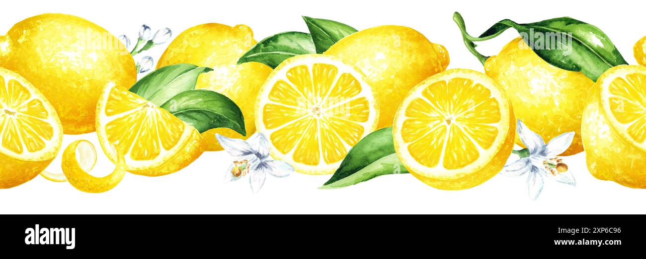 Fresh Lemon fruit seamless border. Hand drawn watercolor illustration ...