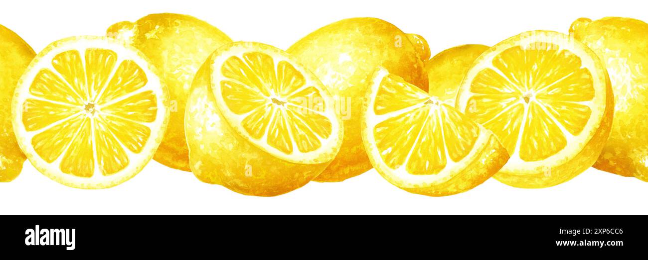 Fresh Lemon fruit seamless border. Hand drawn watercolor illustration ...