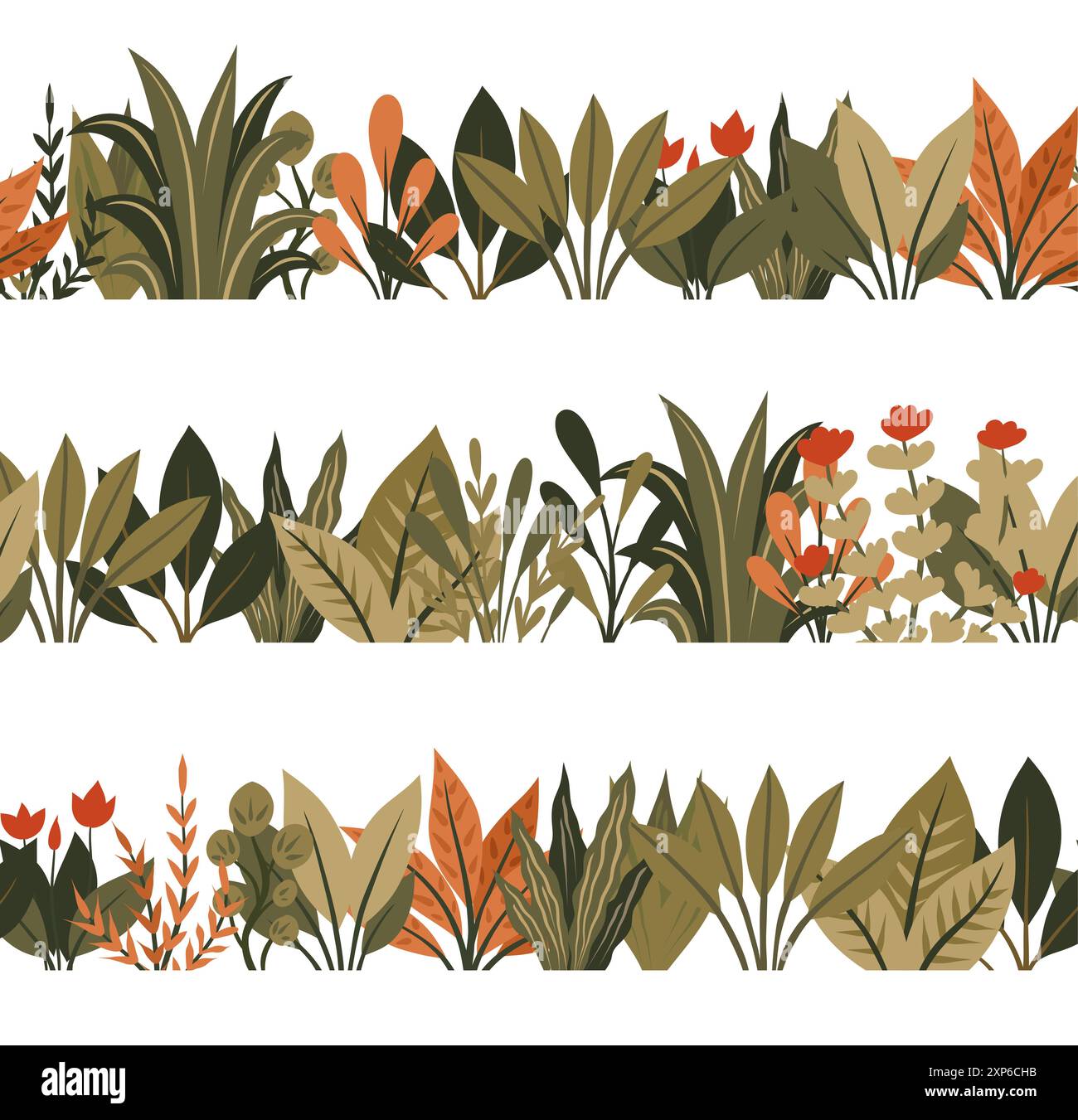 Set of vector seamless borders with tropical plants. Collection of ...