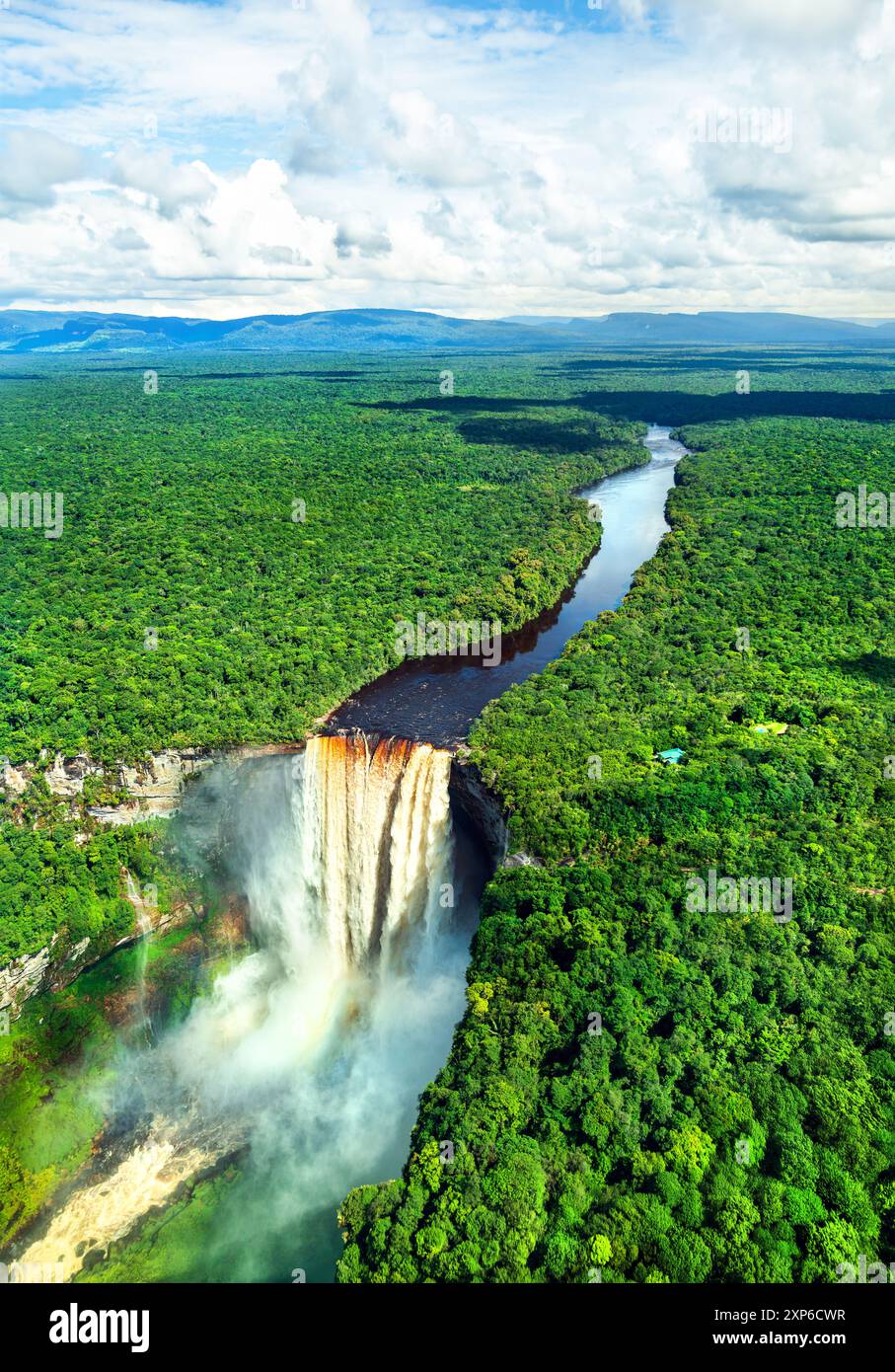 Guyanese jungle hi-res stock photography and images - Alamy
