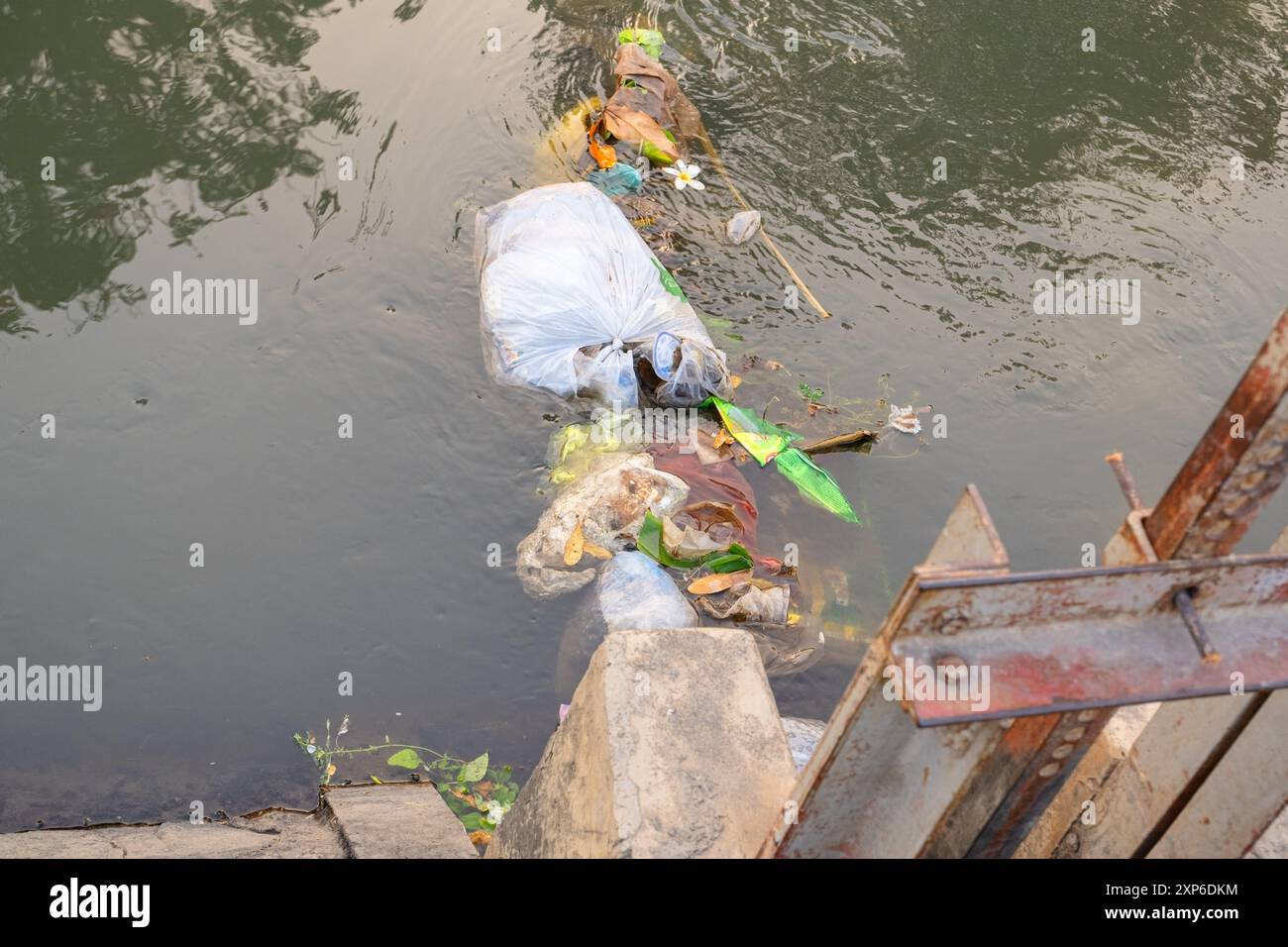 Trash floating in the river Stock Photo - Alamy