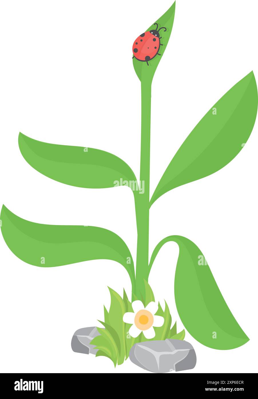 Growing plant with ladybug. Cartoon summer nature icon Stock Vector ...