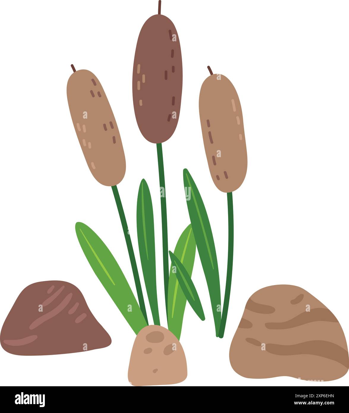 River bank plants vegetation Cut Out Stock Images & Pictures - Alamy