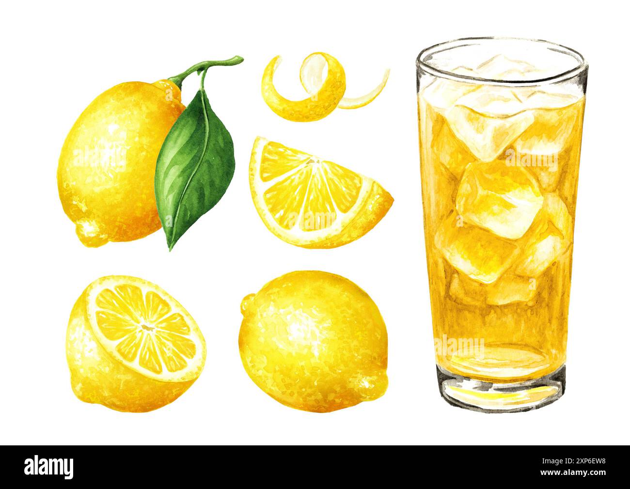 Glass of lemonade, Lemon icetea set. Hand drawn watercolor illustration ...